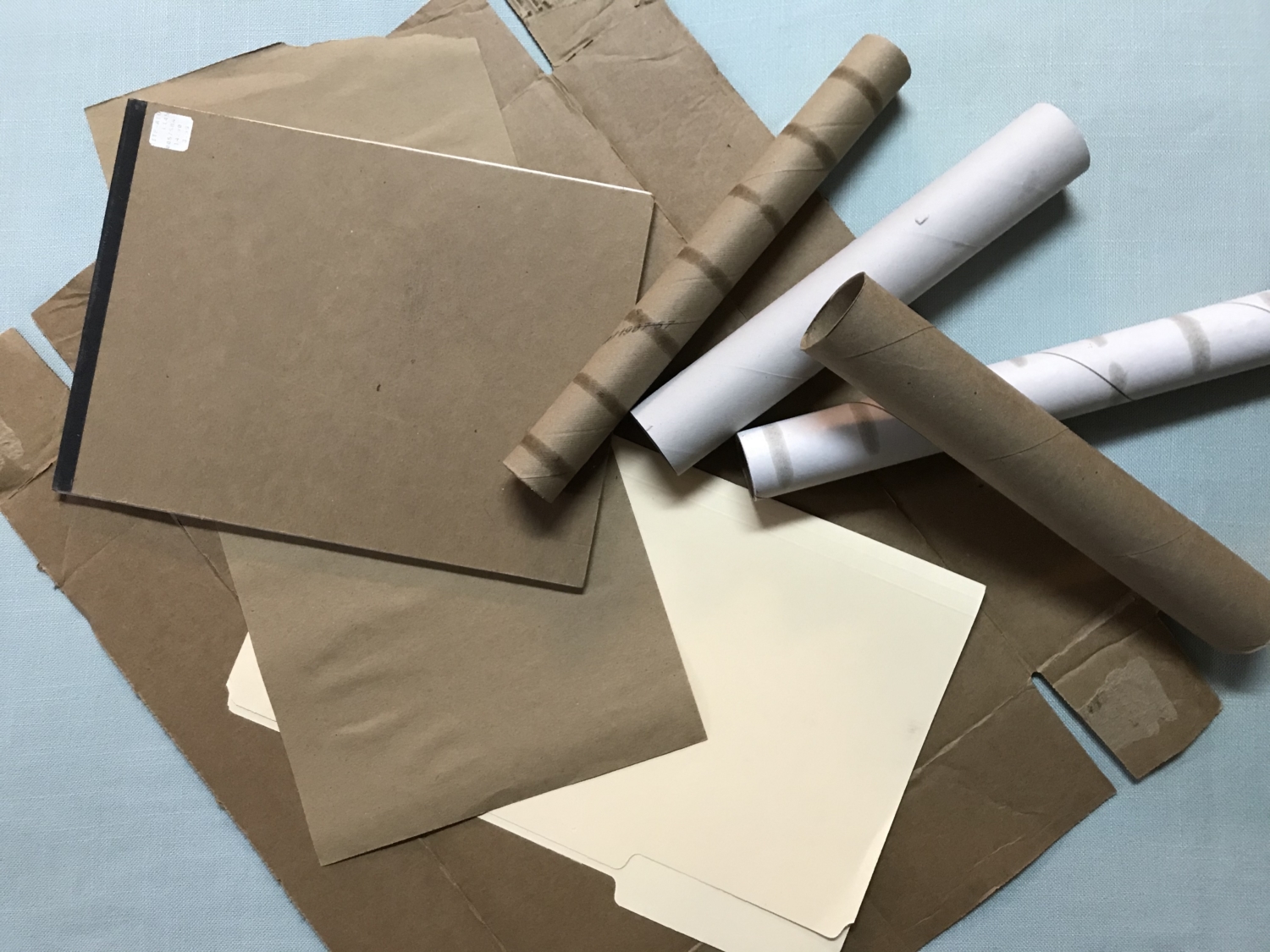 Yoko Ono’s Wish Upon a Tree - NSU Art Museum Fort Lauderdale