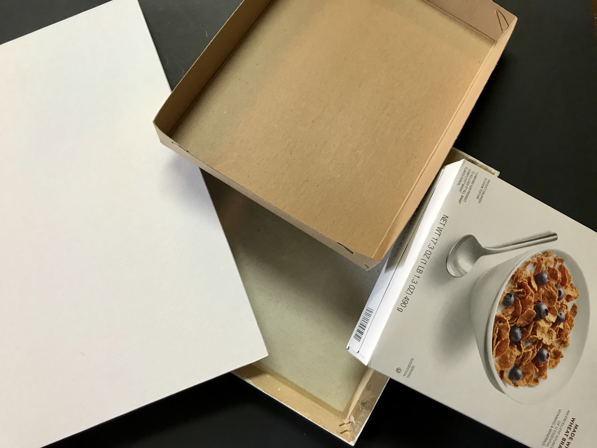 Alake Shilling Garden Creatures – NSU Art Museum Fort Lauderdale