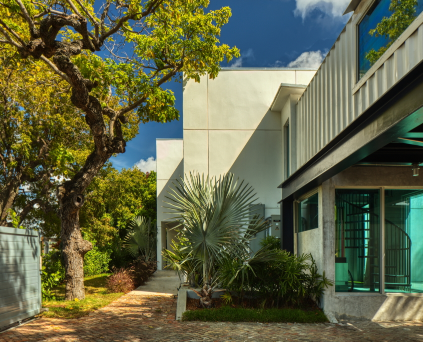 The Carter Project – NSU Art Museum Fort Lauderdale