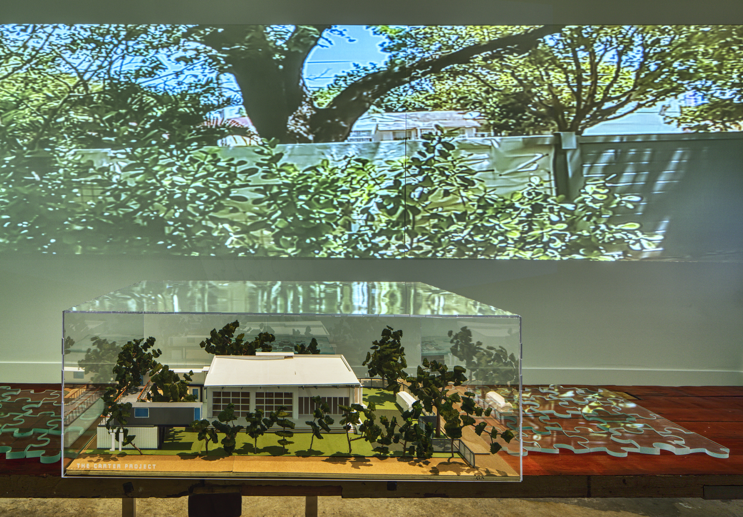 The Carter Project – NSU Art Museum Fort Lauderdale