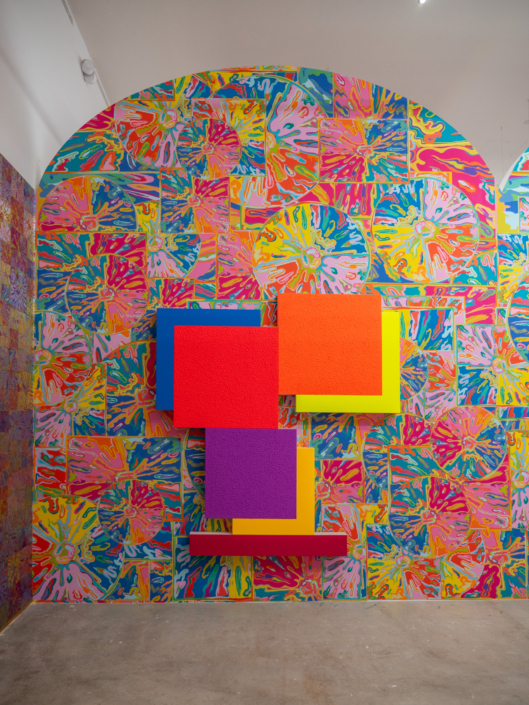 Peter Halley: The Mirror Stage – NSU Art Museum Fort Lauderdale