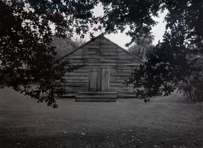 Predecessors and Descendants: Selection of Photographs from the NSU Art ...